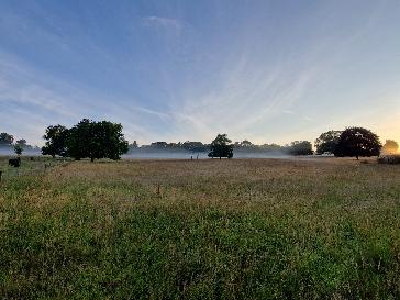 Exeter - BBC Weather