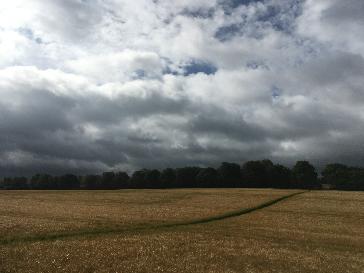 Swindon - BBC Weather