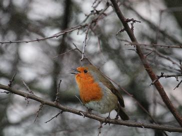 Pershore - BBC Weather
