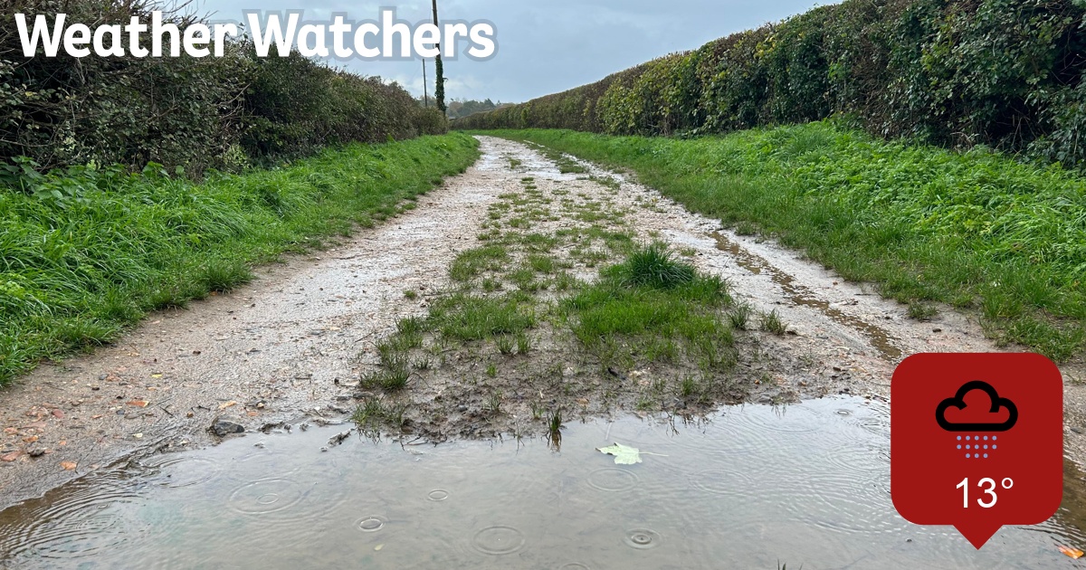 Report - BBC Weather Watchers