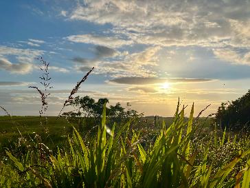 Oldmeldrum - BBC Weather