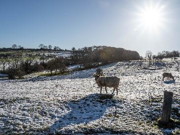 Audley - BBC Weather