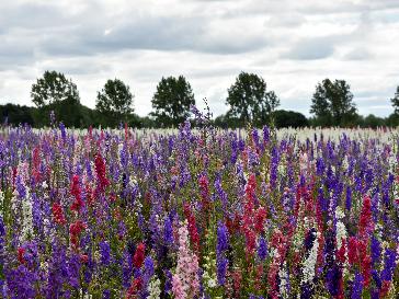 Worcester - BBC Weather