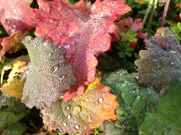 Northampton - BBC Weather