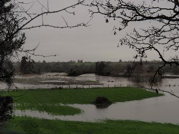 Redditch - BBC Weather