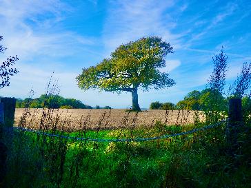 Dorchester - BBC Weather
