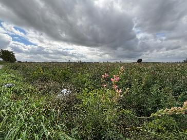 Nuneaton - BBC Weather
