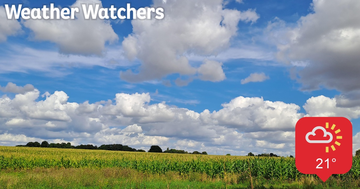 Report - BBC Weather Watchers