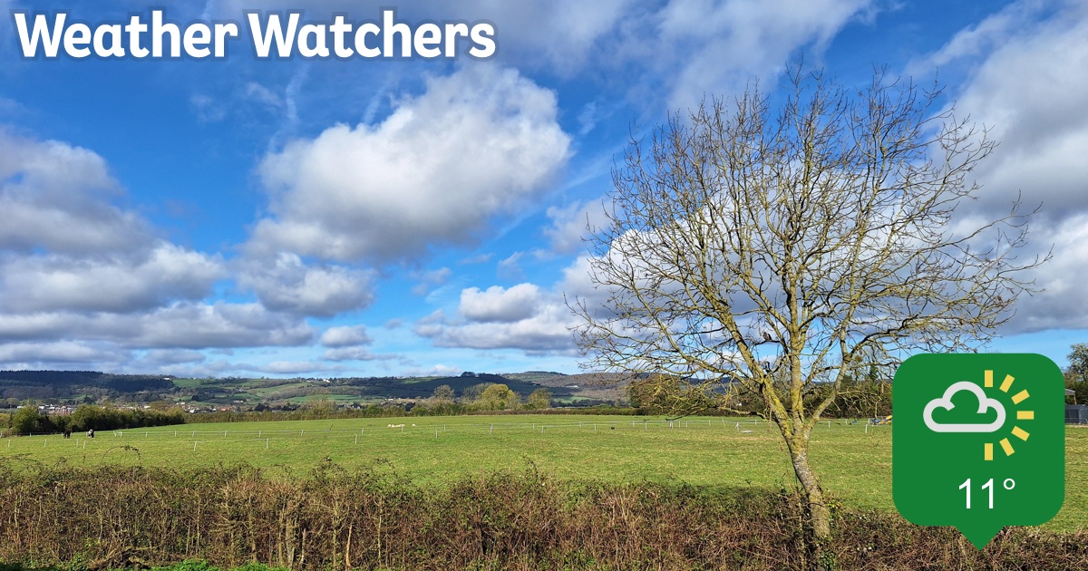 Report - BBC Weather Watchers