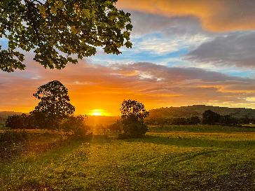 Harrogate - BBC Weather