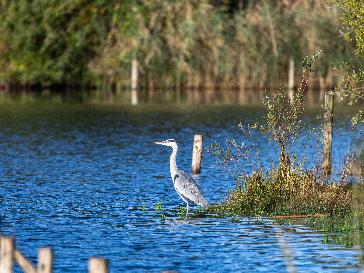 Andover - BBC Weather