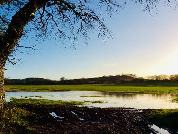 Telford - BBC Weather