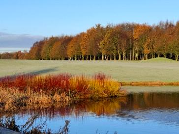 Harrogate - BBC Weather