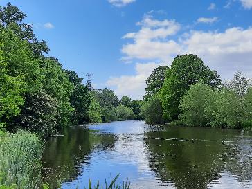 Sutton - BBC Weather