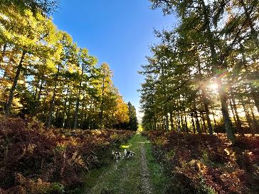 Oswestry - BBC Weather