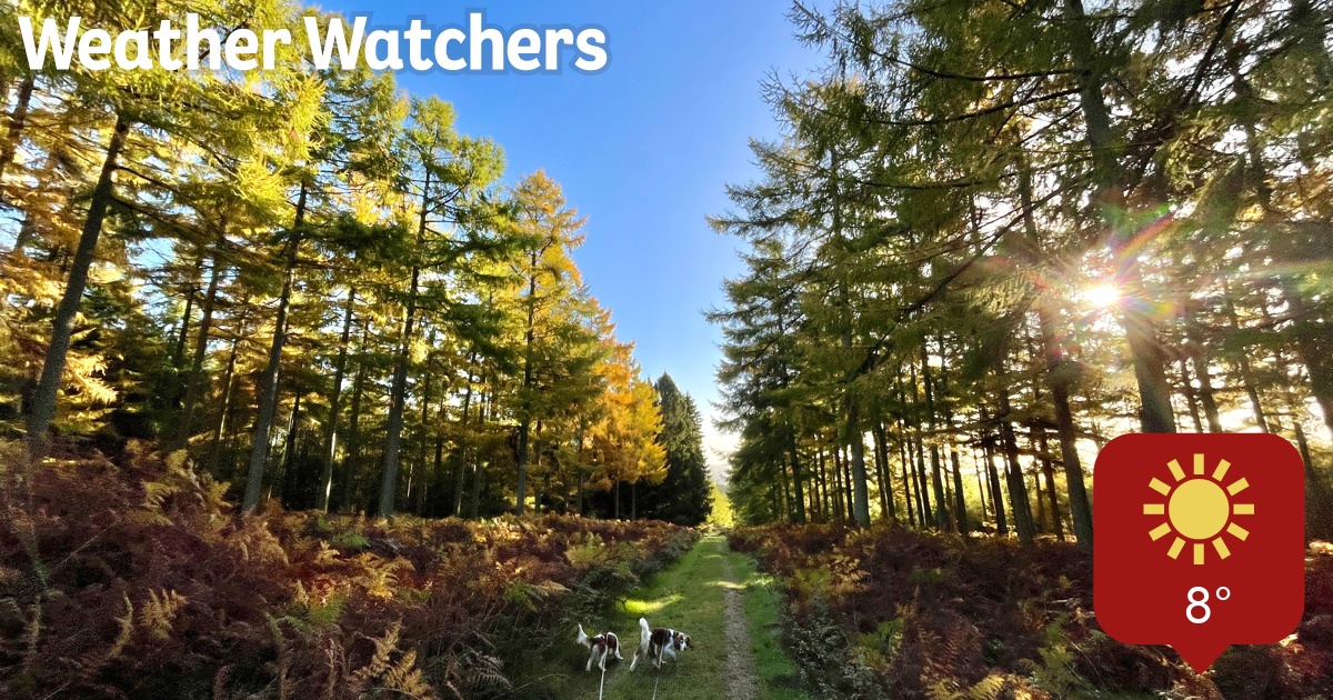 Report - BBC Weather Watchers