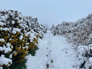 Shetland - BBC Weather