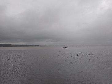 Kendal - BBC Weather