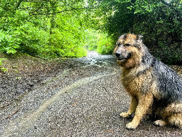Moyallan - BBC Weather