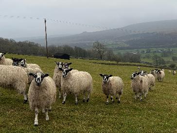Wallsend - BBC Weather