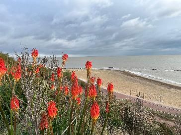 Basildon - BBC Weather