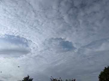 Basildon - BBC Weather