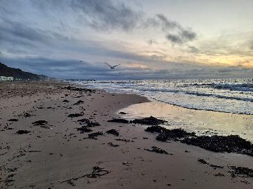 Ringwood - BBC Weather