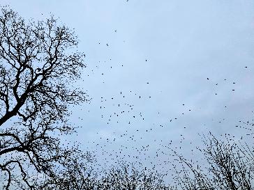 Ludlow - BBC Weather