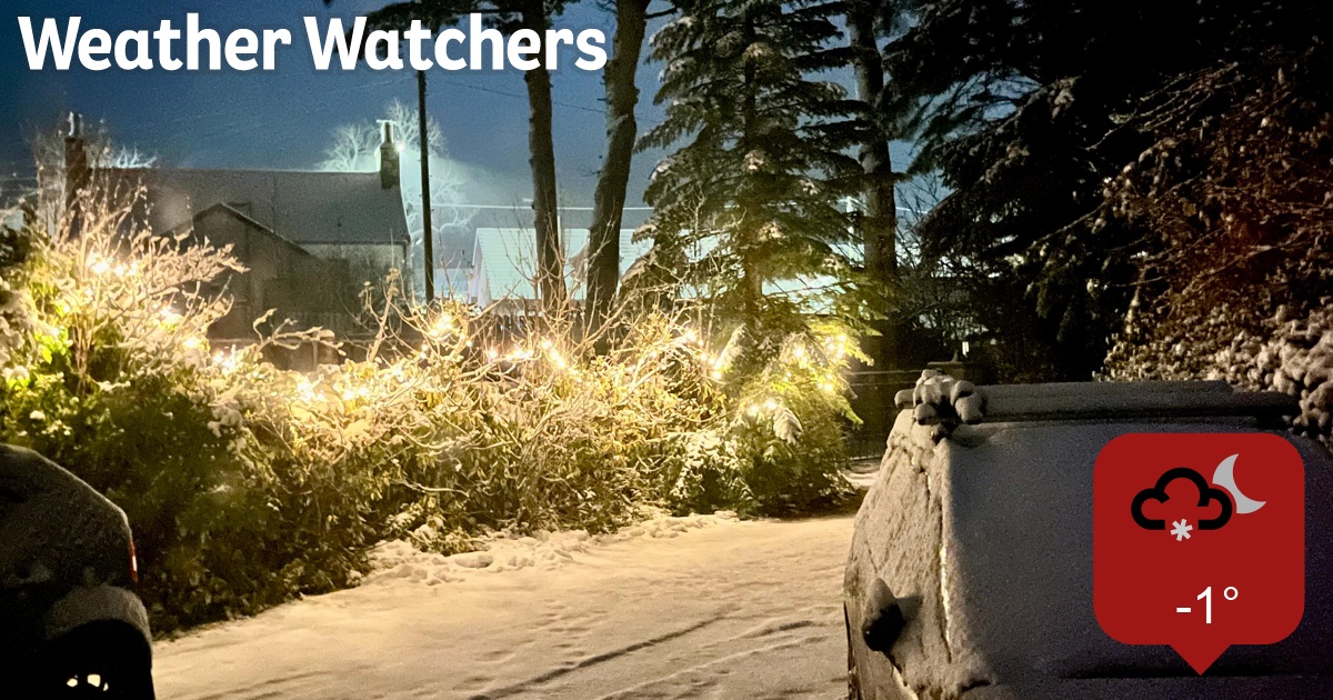 Report - BBC Weather Watchers