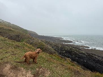 Torquay - BBC Weather