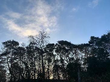 Wokingham - BBC Weather