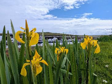 Hopeman - BBC Weather