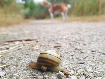 Nottingham - BBC Weather