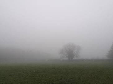 Telford - BBC Weather