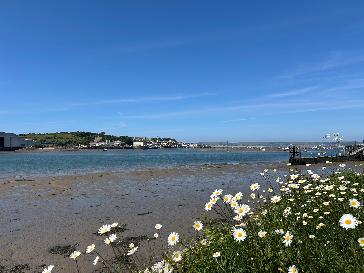Torquay - BBC Weather