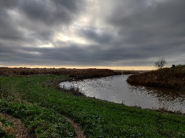 Warrington - BBC Weather