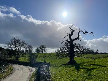 Banwell Castle - BBC Weather