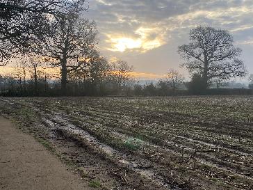 Salisbury - BBC Weather