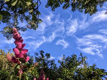 Norwich - BBC Weather