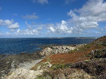 Alderney Airport - BBC Weather