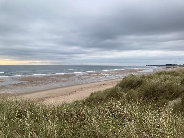 Wallsend - BBC Weather