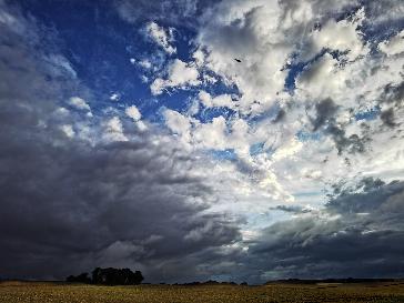 Falkirk - BBC Weather