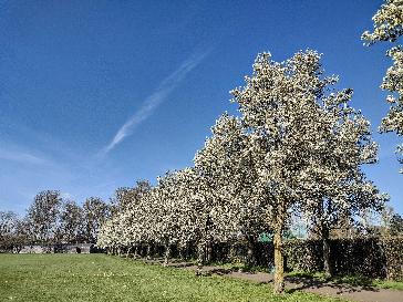 Bromley - BBC Weather