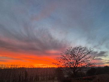 Cranbrook - BBC Weather