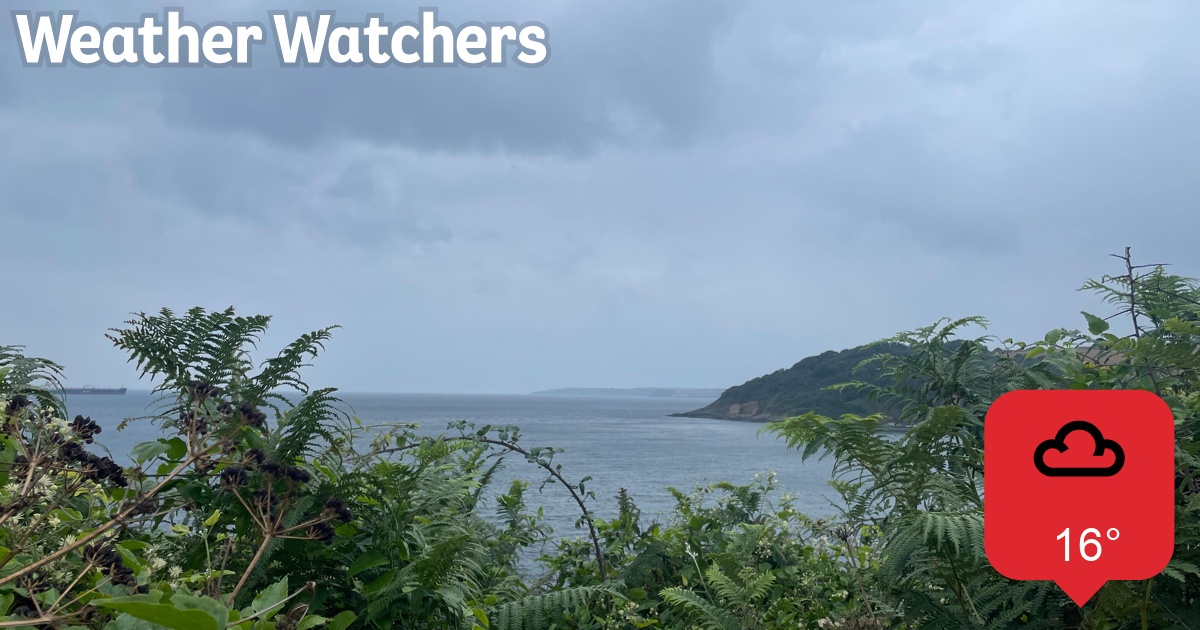 Report - BBC Weather Watchers