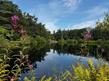 Prestwick Airport - BBC Weather