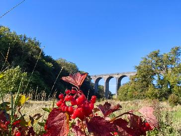 Cardiff - BBC Weather