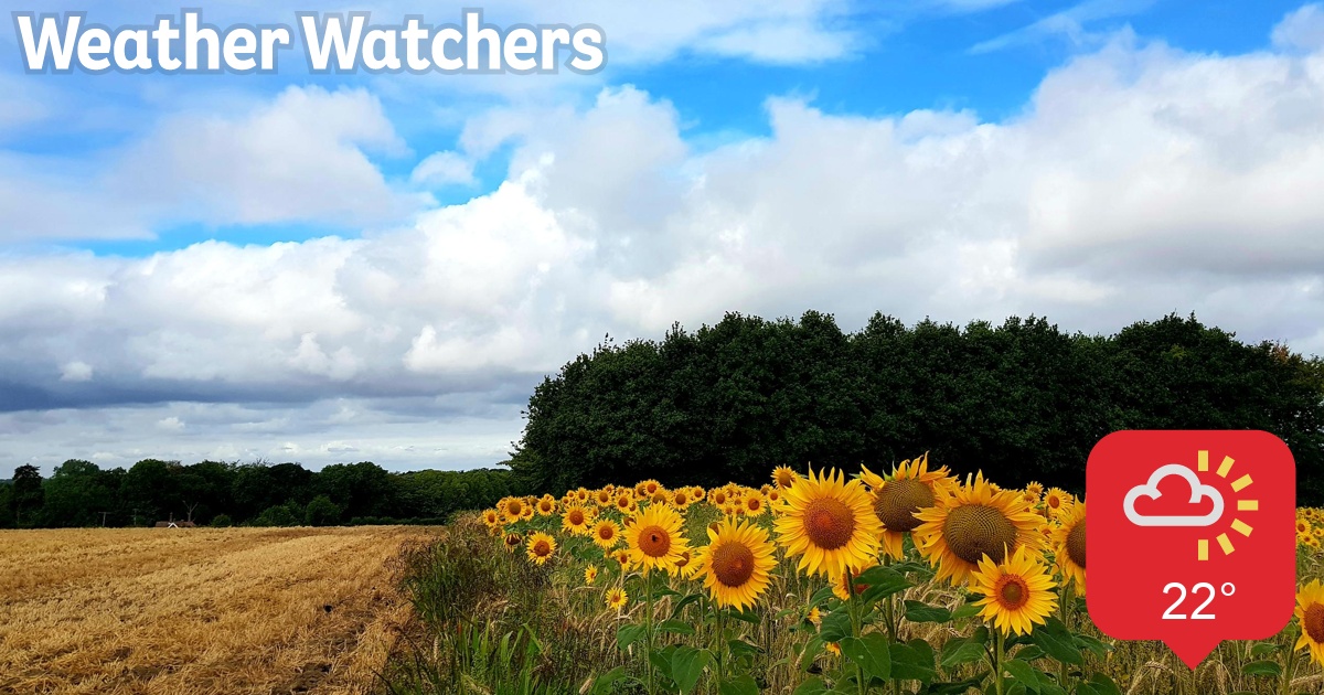 Report - BBC Weather Watchers