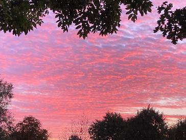 Slough - BBC Weather