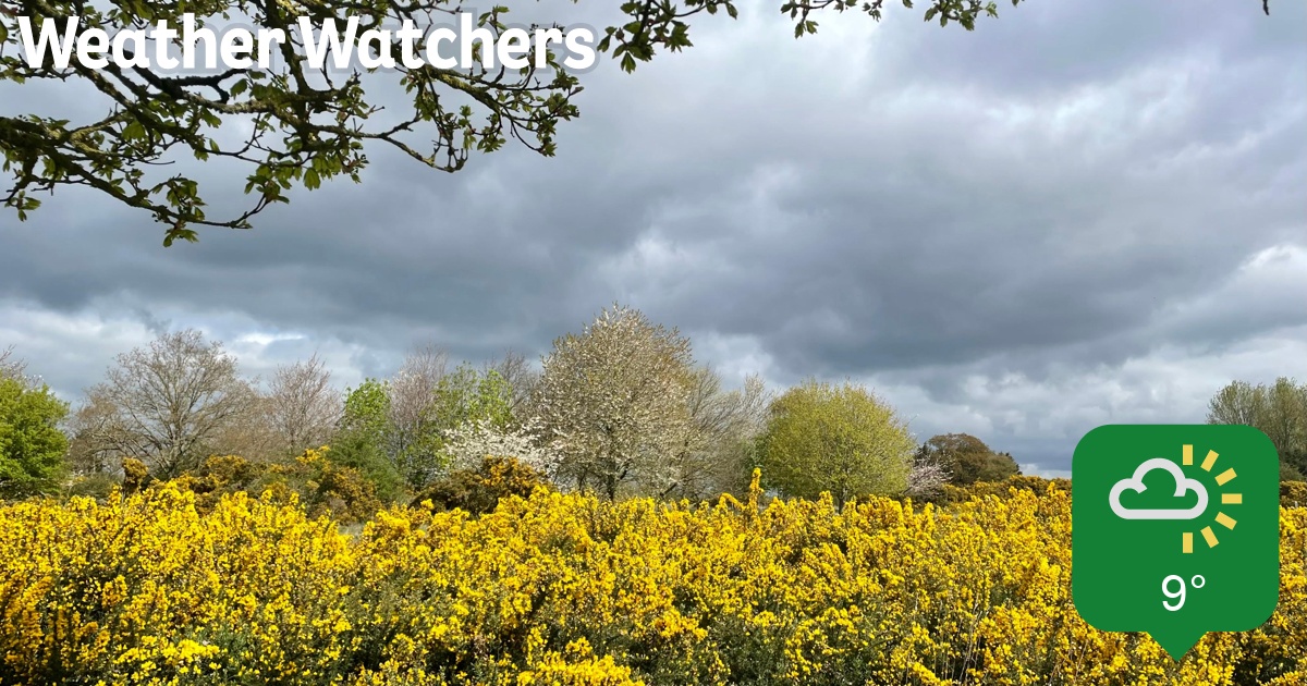 Report - BBC Weather Watchers